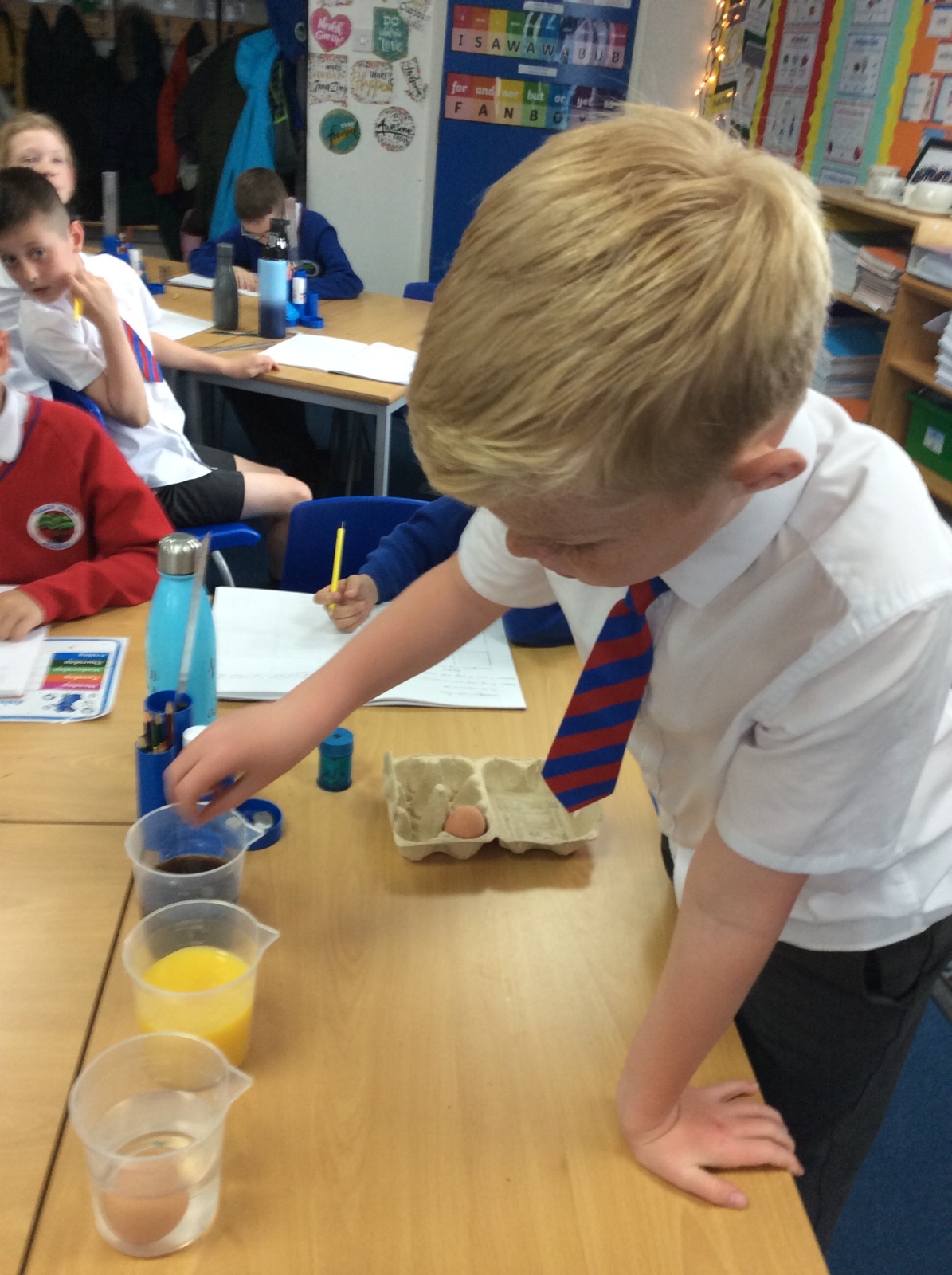 Holley Park Academy - Curriculum