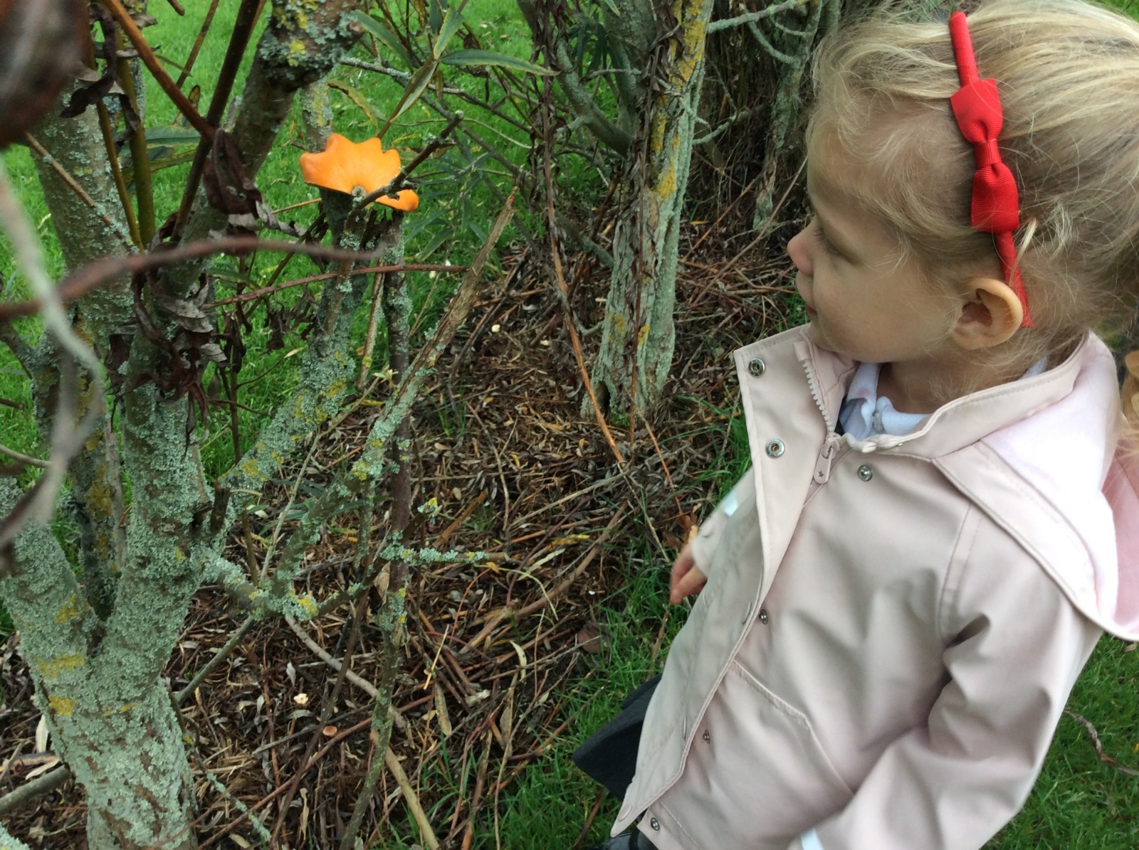 Holley Park Academy - Welly Wednesday